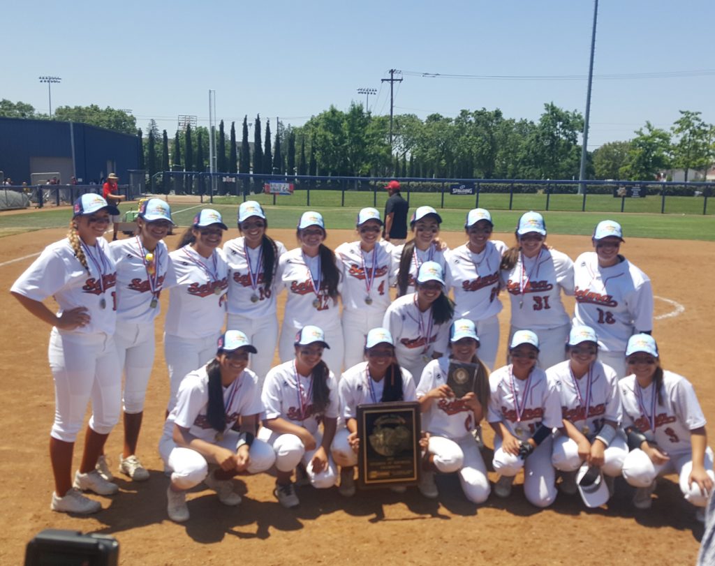 Division 4 Softball - 2017 - The Pag Meter
